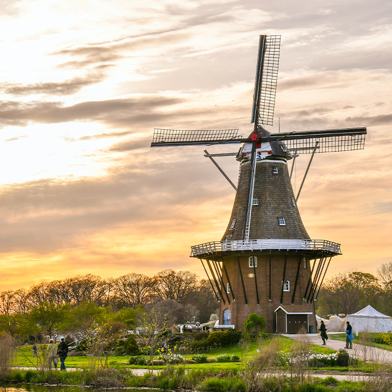 Bem-vindo à Holanda